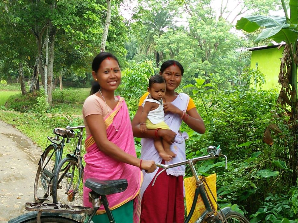 The Assam Project: a treasure trove of learning - The Constellation