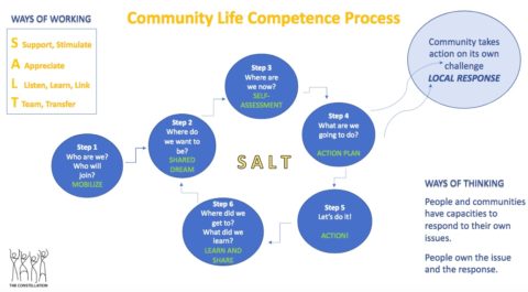 SALT-CLCP - The Constellation